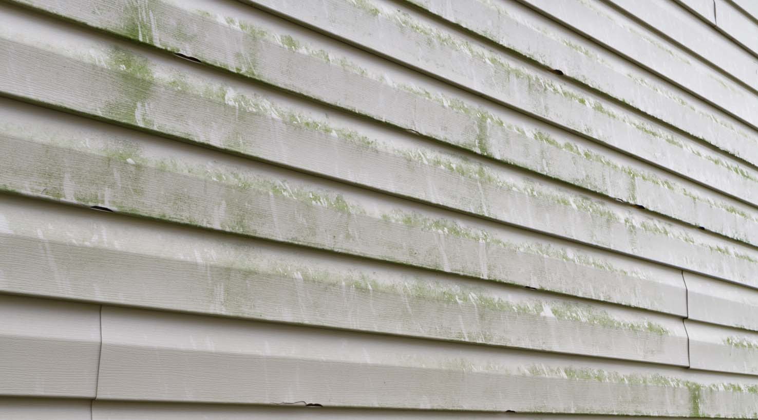 6 Expert Tips for Eliminating Mold and Mildew - SWPPC